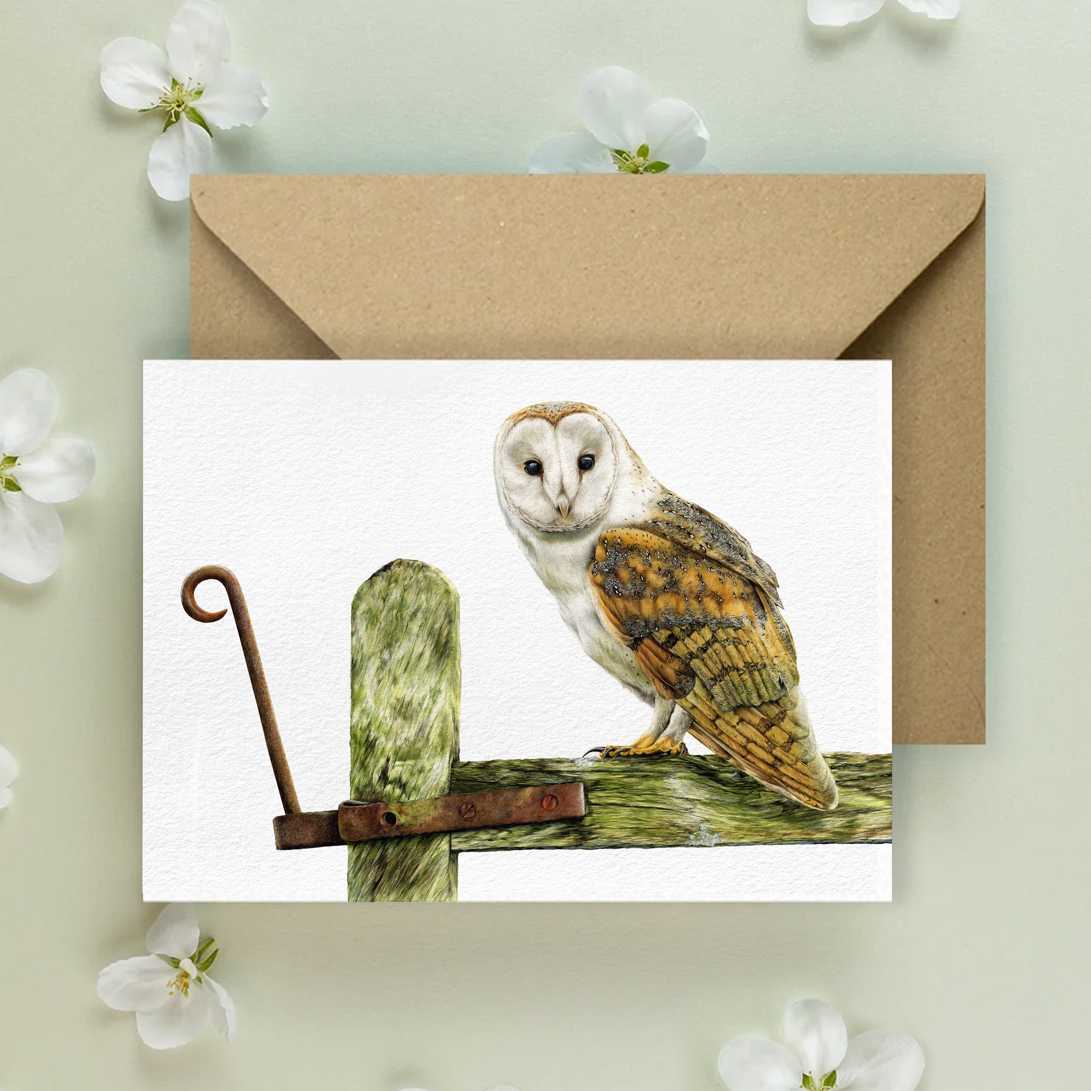 'Barn Owl' Greeting Card – kimberleydewhurst