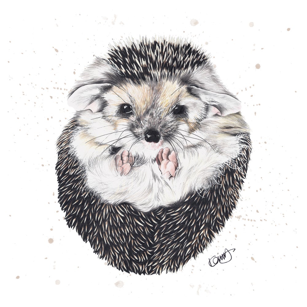 "Primrose the Hedgehog" Limited Edition Giclee Print – kimberleydewhurst