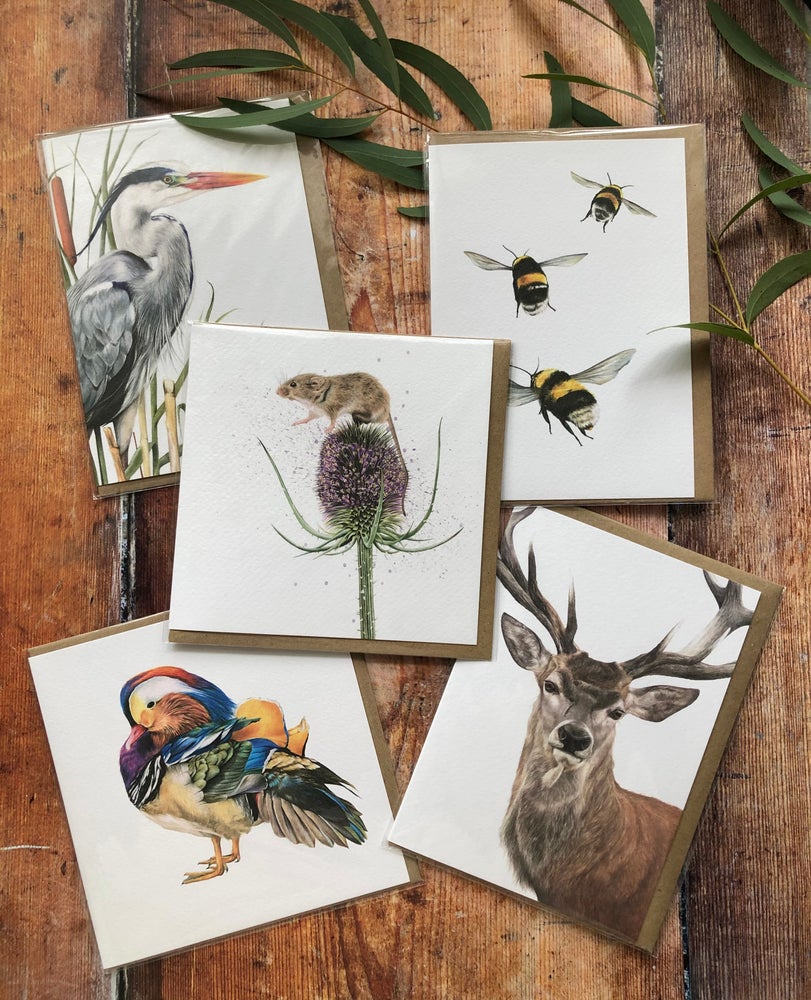 Greeting Card Bundles - Random Selection 3, 5, 10, 15 or 20 ...