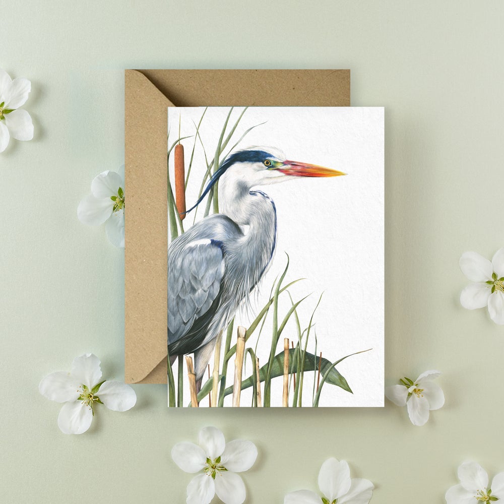 'Mr Grey' Greeting Card – kimberleydewhurst