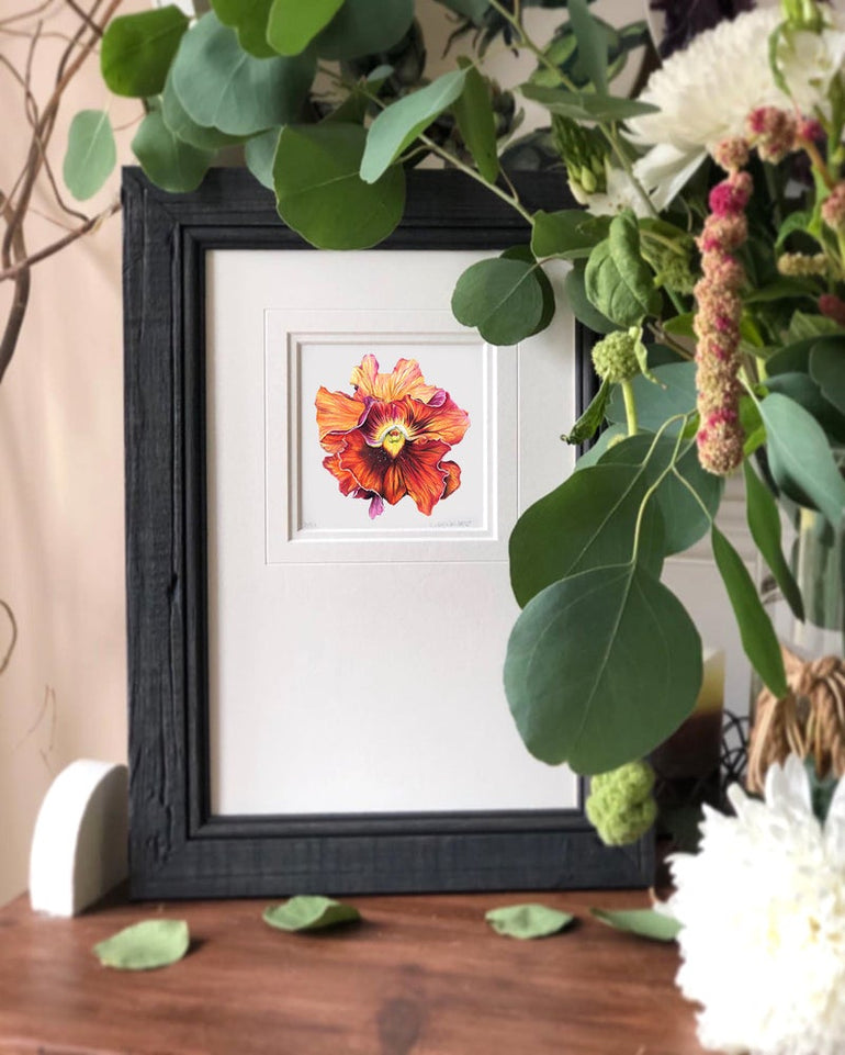 'Pansie' Limited Edition Giclee Print – kimberleydewhurst