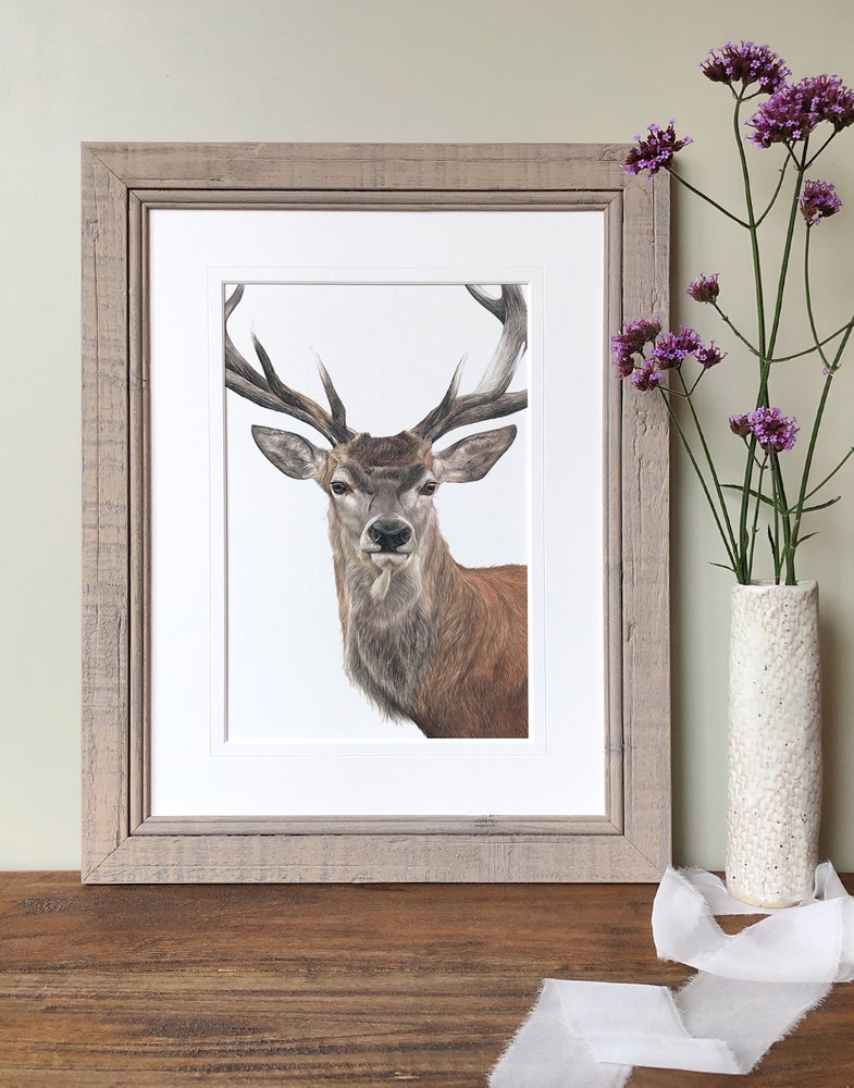 ‘Red Deer’ Limited Edition Giclee Print – kimberleydewhurst